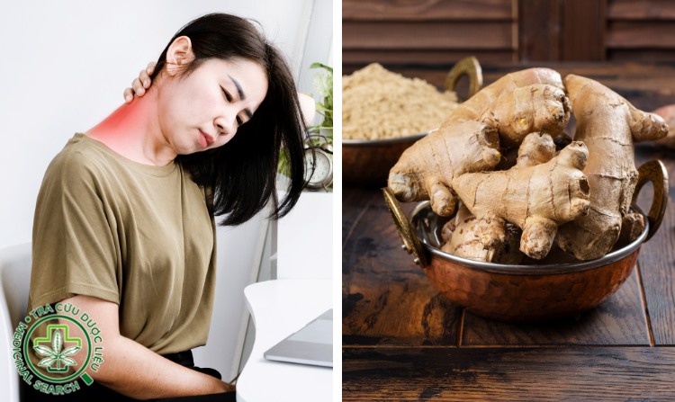 Hé lộ 7 cách chữa đau vai gáy bằng thuốc nam hiệu quả